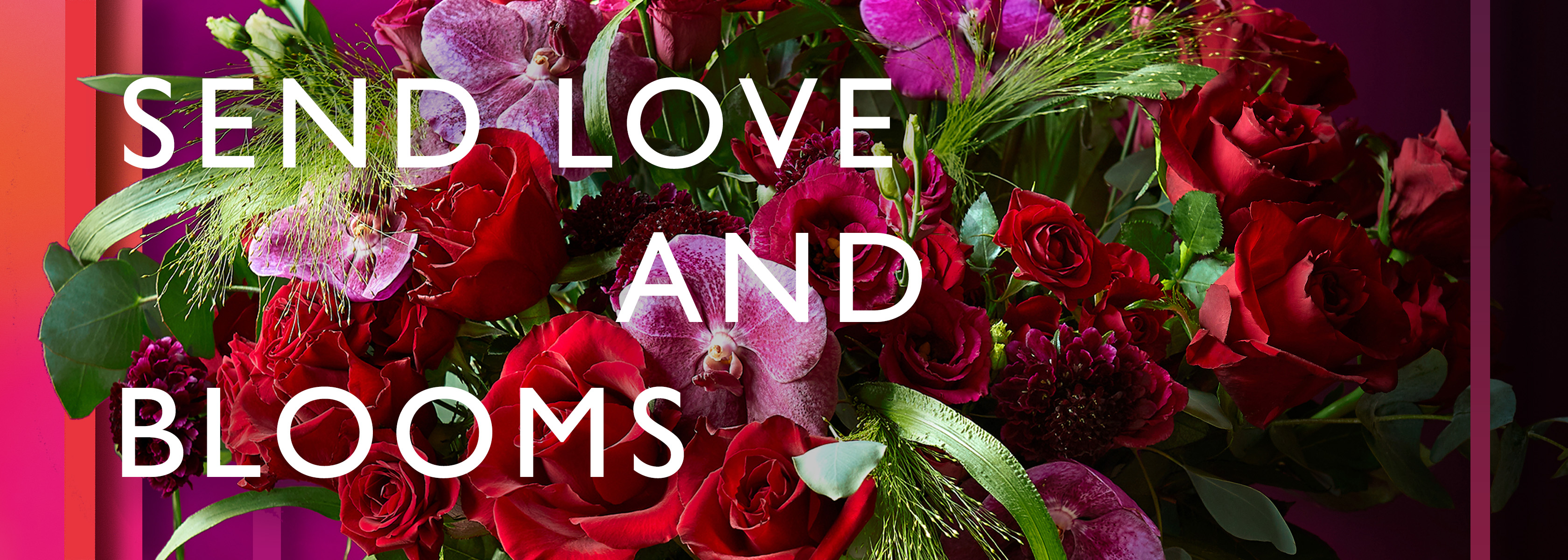 Waitrose & Partners | Food | Drink | Recipes