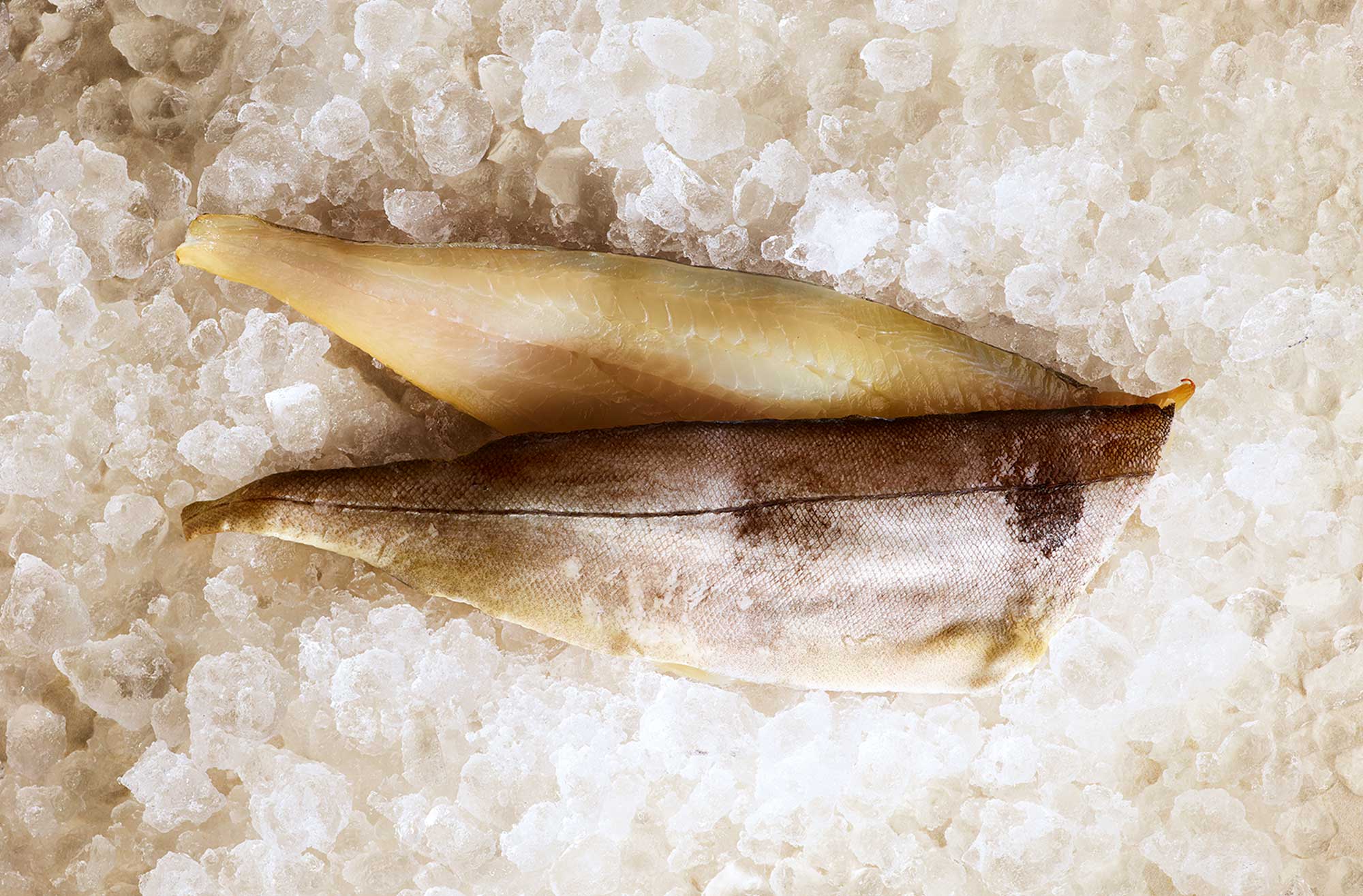 Haddock Recipes | Waitrose & Partners
