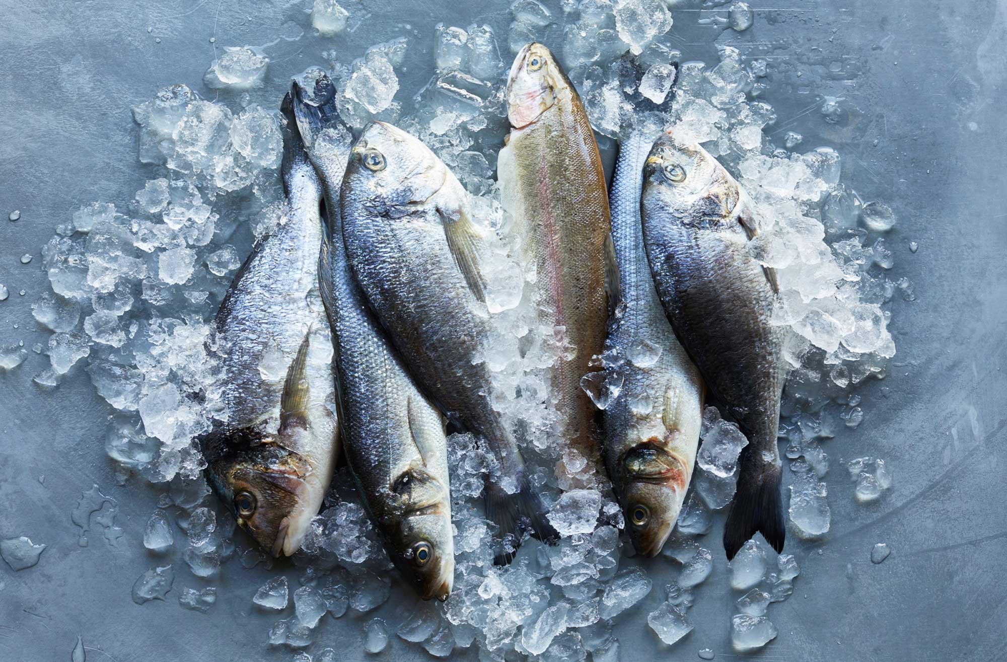 Page 2 | Fish Recipes | Waitrose & Partners