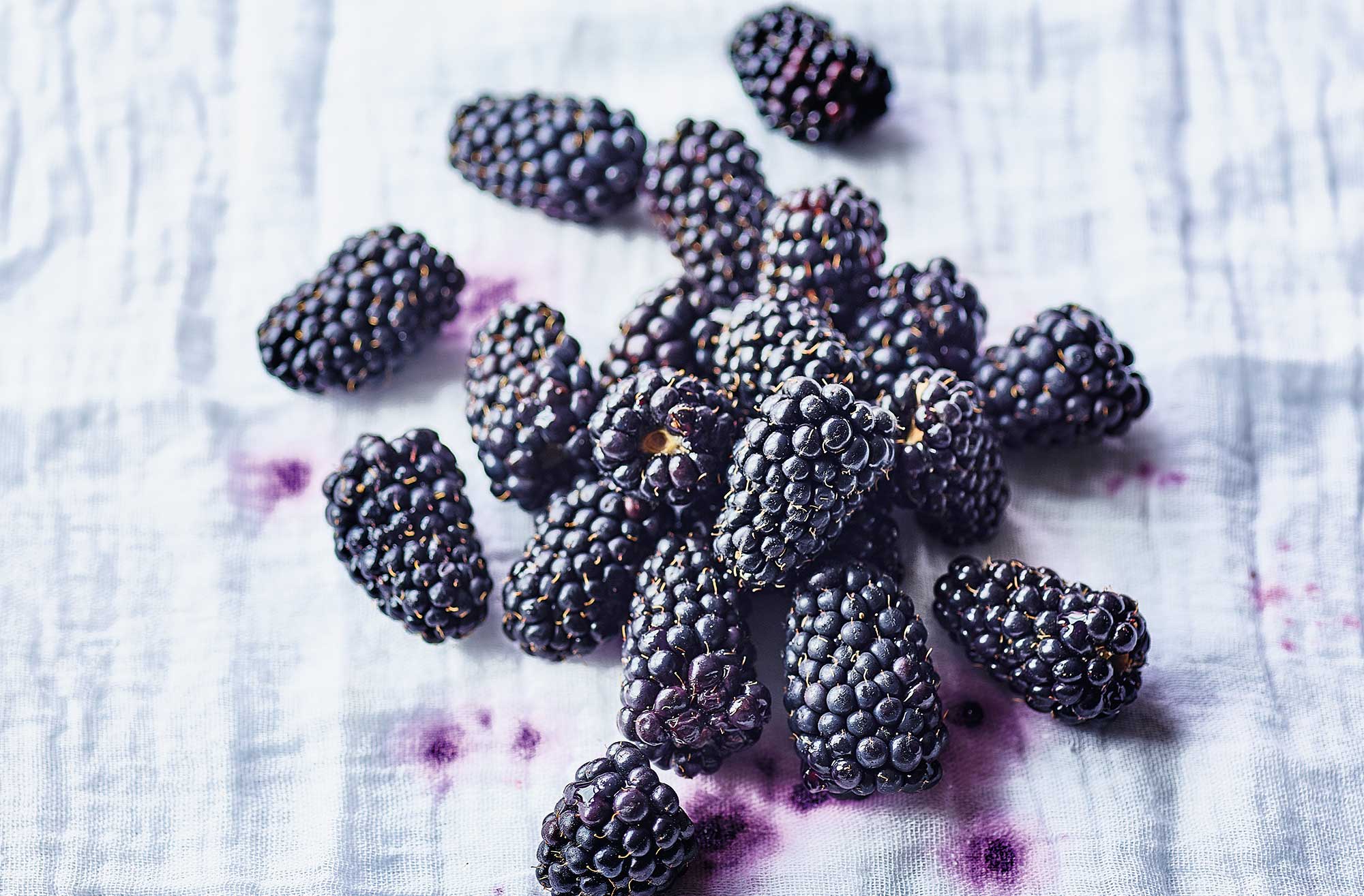 Blackberry Recipes | Waitrose & Partners