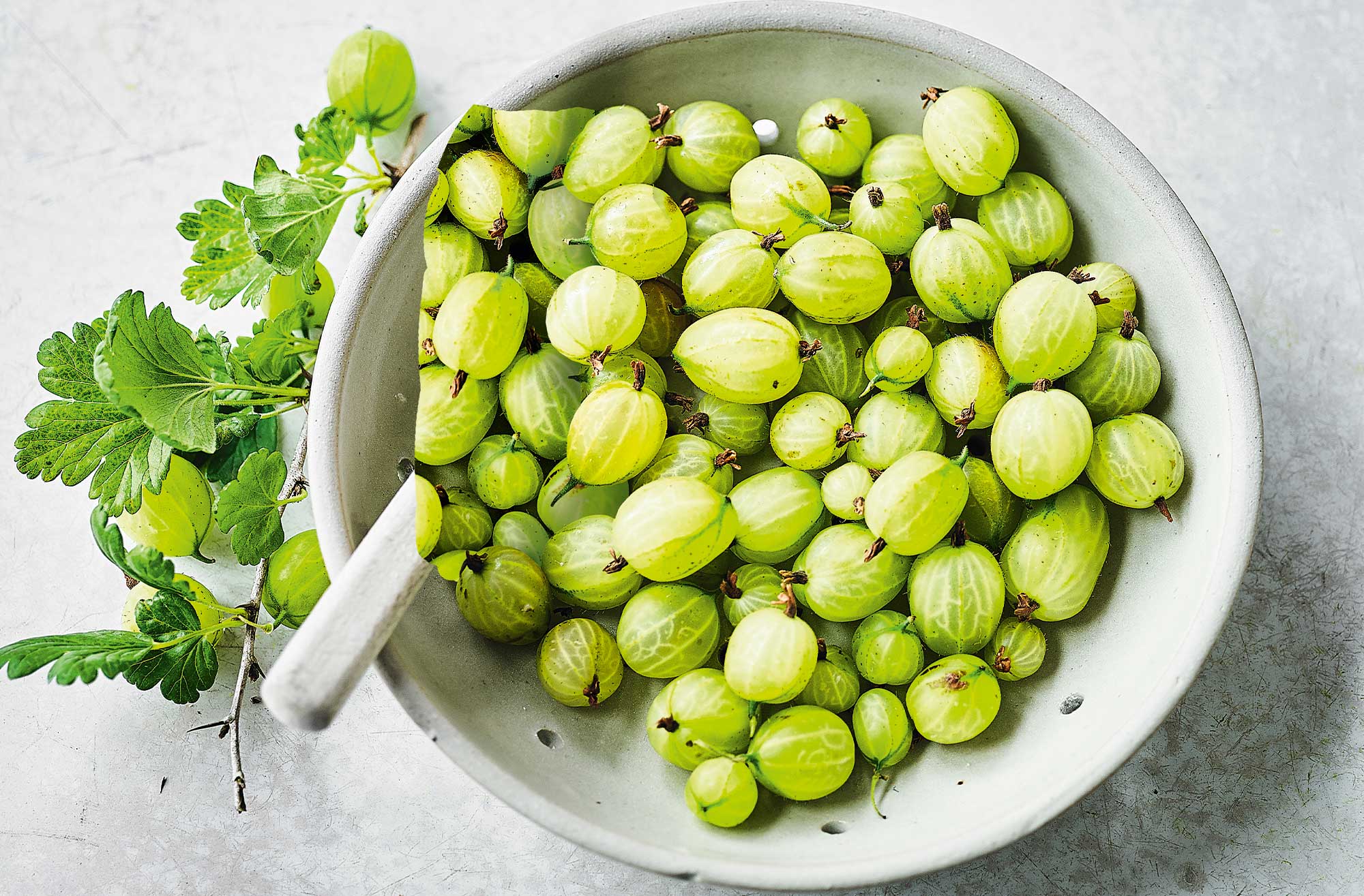 Gooseberry Recipes | Waitrose & Partners