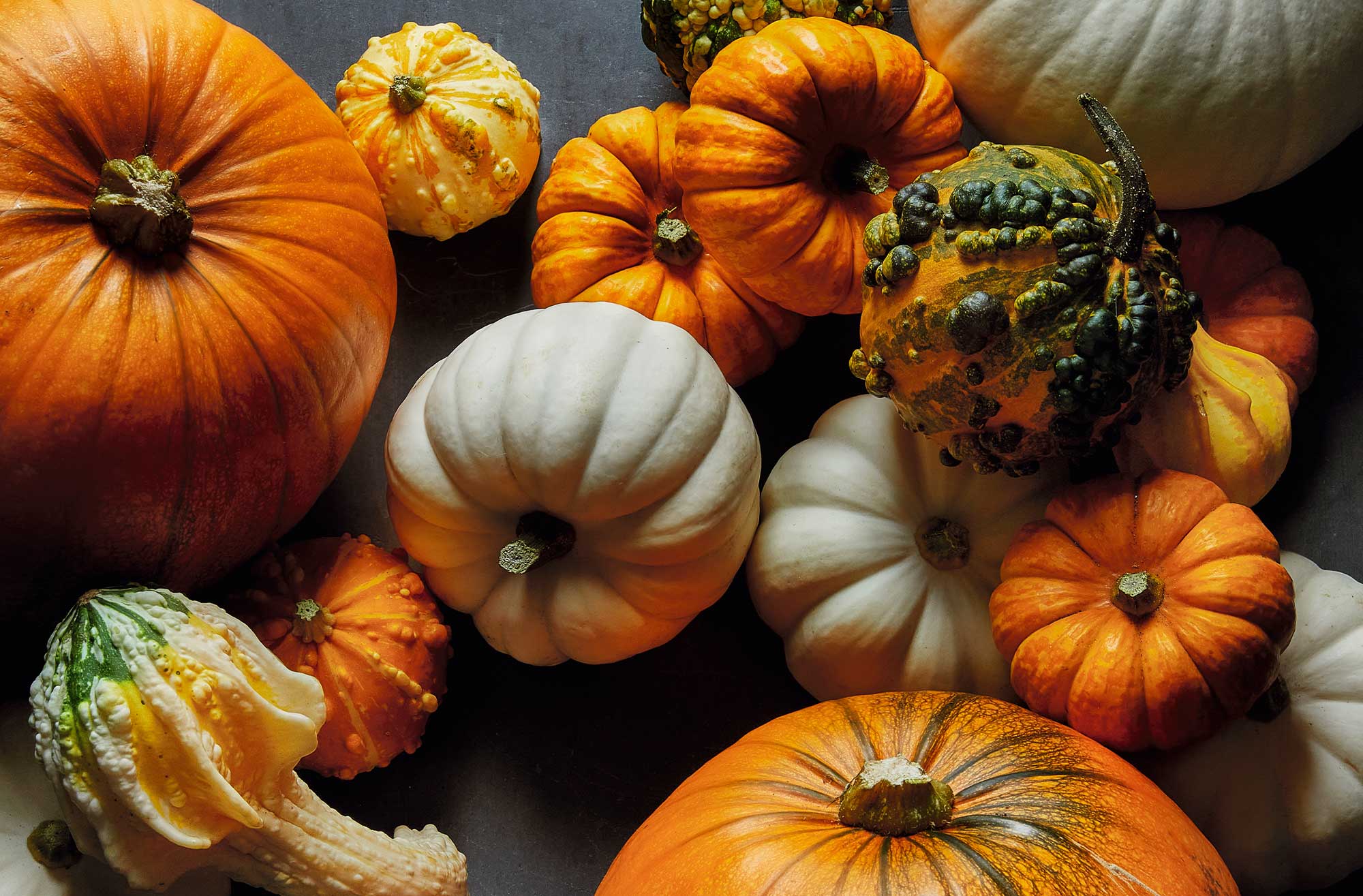 Pumpkin Recipes | Waitrose & Partners