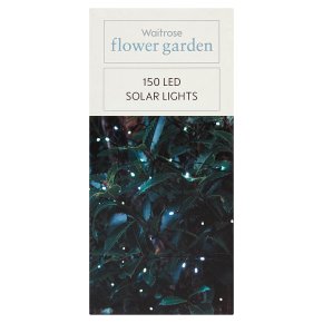 Waitrose Flower Garden 150 Solar Lights | Waitrose & Partners