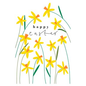 Happy Easter Daffodils | Waitrose & Partners