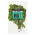 Cooks' Ingredients Mint | Waitrose & Partners