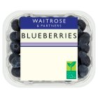 Waitrose Blueberries | Waitrose & Partners